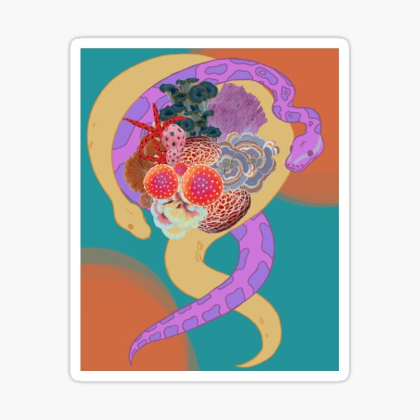 "Pythons" Sticker by DankeyKahn | Redbubble