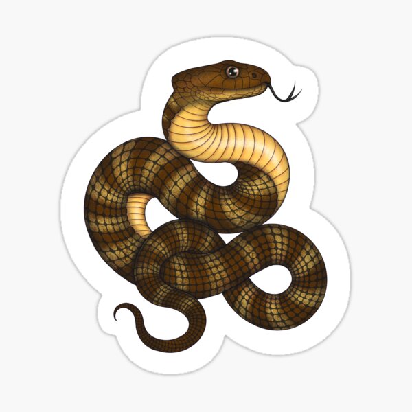 "Tiger Snake " Sticker for Sale by miss-varanus | Redbubble