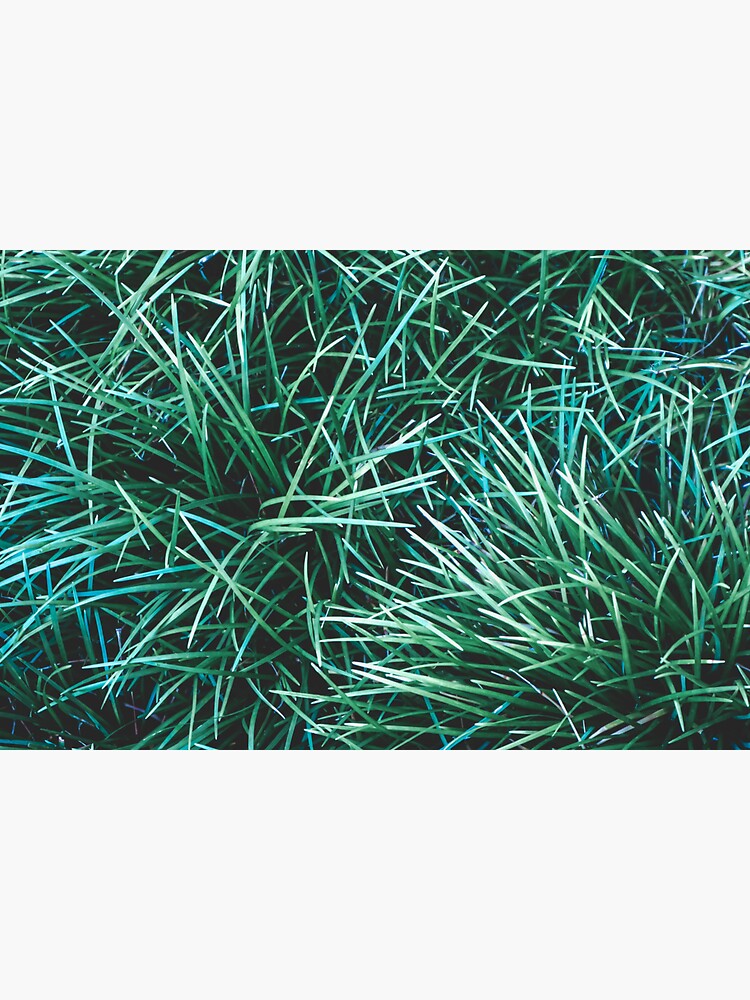 "grass blades shimmering in the air" Sticker for Sale by beyondtheink ...