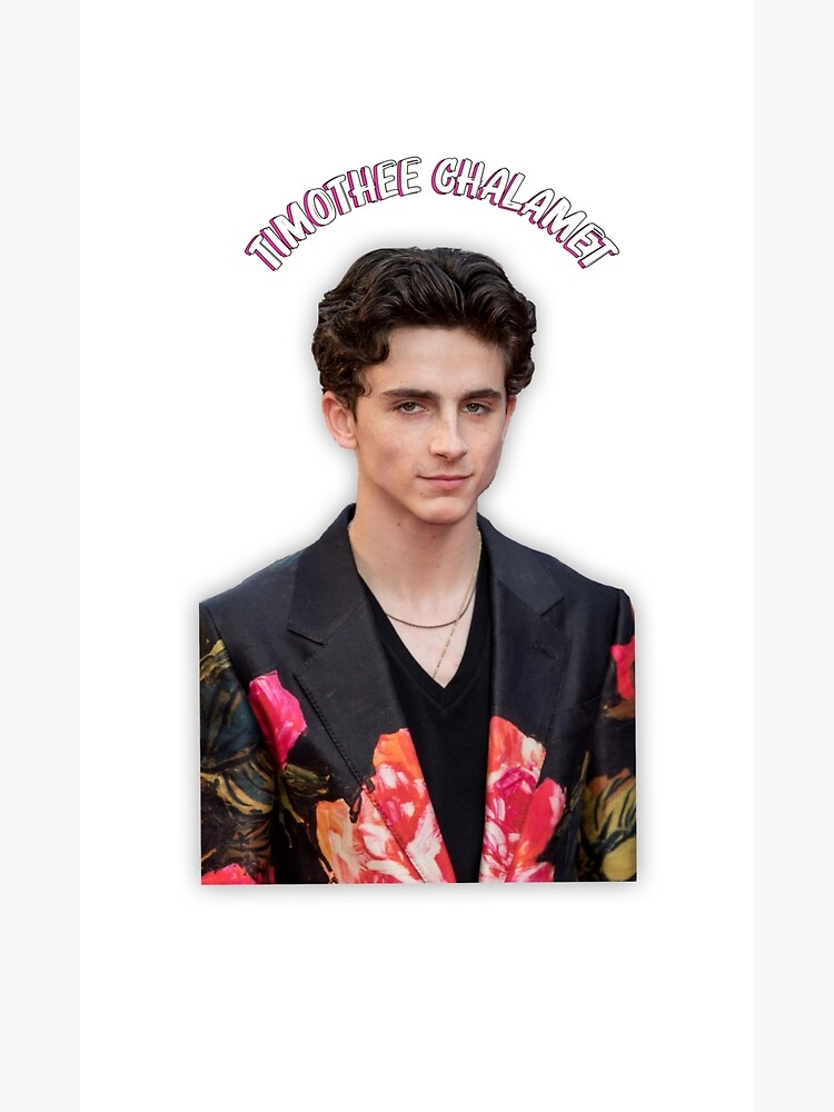 "Timothee Chalamet" Poster by kaylacraft3 | Redbubble