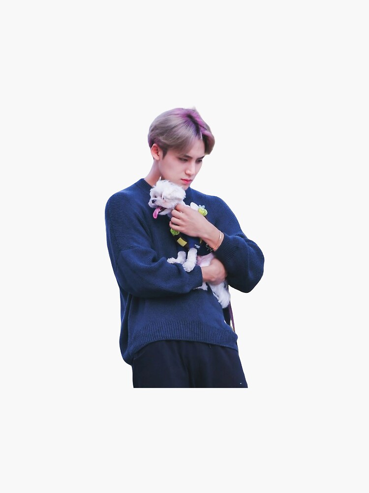 "Seventeen Mingyu" Sticker for Sale by wwjkhsk | Redbubble