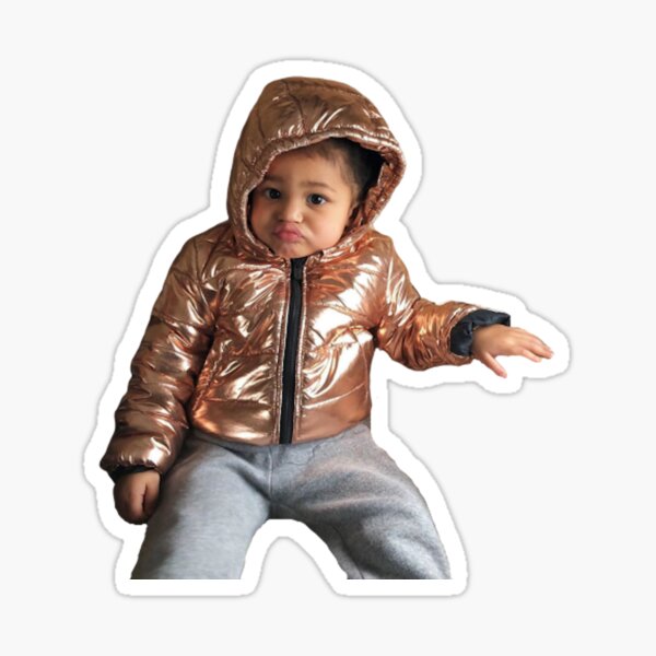 "stormi webster" Sticker for Sale by nicooleee | Redbubble