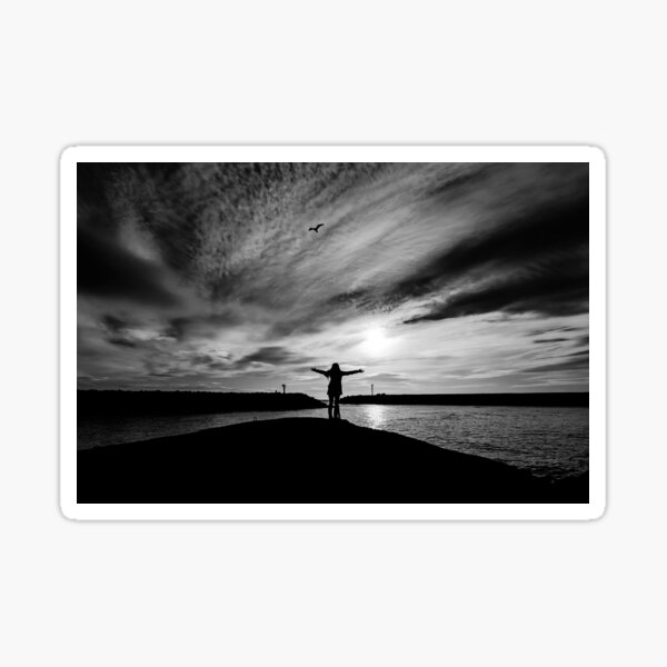 "Arms wide open" Sticker for Sale by Korvax | Redbubble