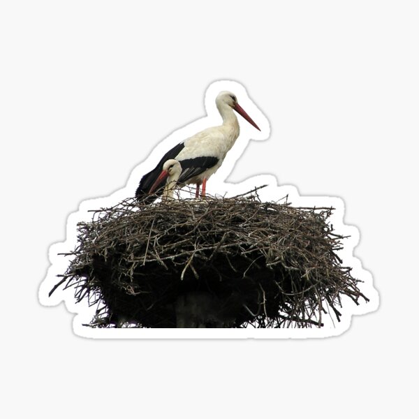 "Nesting" Sticker for Sale by MargaritaBobita | Redbubble