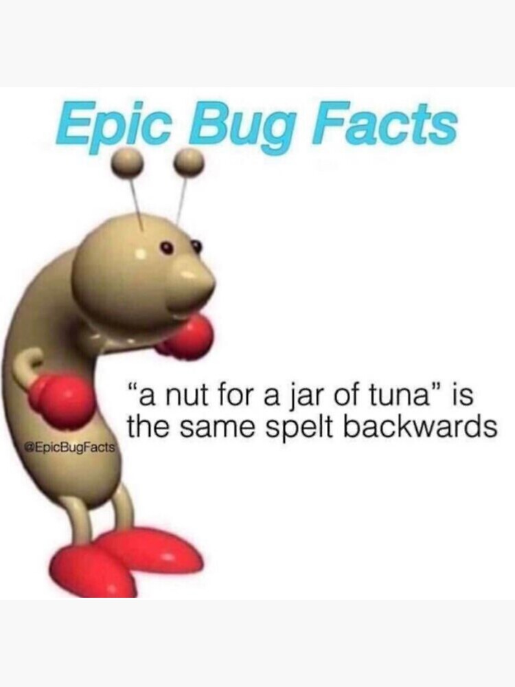 "Epic Bug Facts" Sticker for Sale by Poniamy | Redbubble