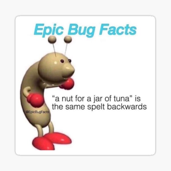 "Epic Bug Facts" Sticker for Sale by Poniamy | Redbubble