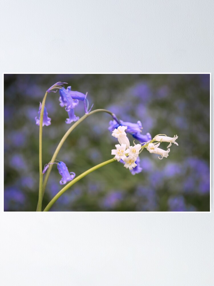 "I feel different !" Poster by JEZ22 | Redbubble