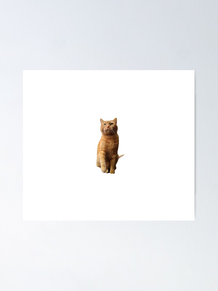 "Clyde the cat " Poster by Mitzika | Redbubble