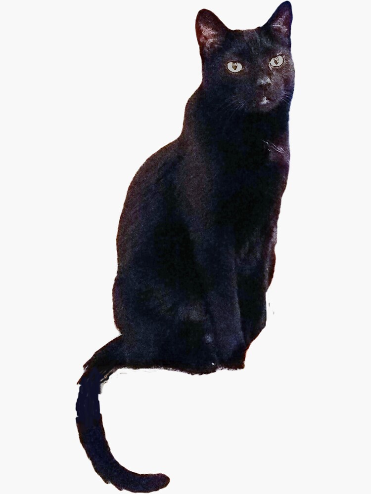 "Ivan the black cat" Sticker for Sale by Mitzika | Redbubble