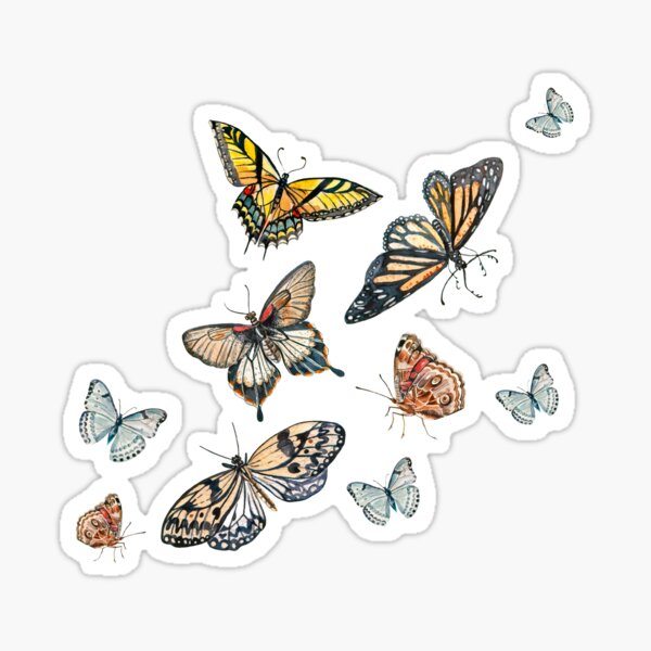 Watercolor Butterflies Sticker For Sale By Alaskandreamer Redbubble