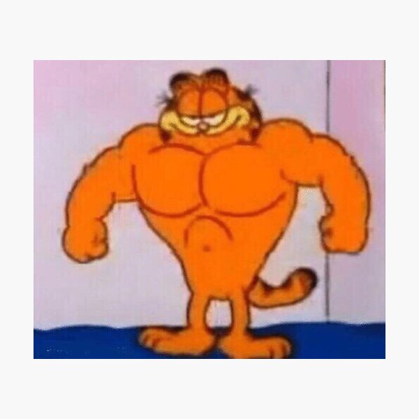 "Muscle Garfield" Photographic Print for Sale by moondreamer | Redbubble