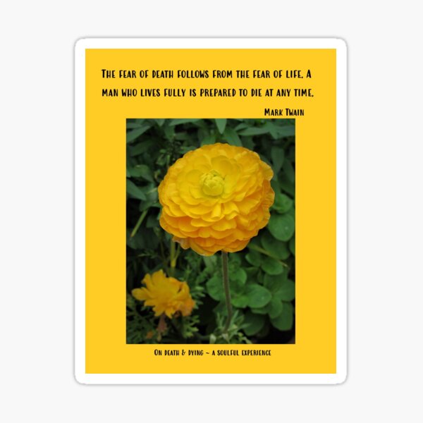 "The Fear Of Death" Sticker by DesJardins | Redbubble