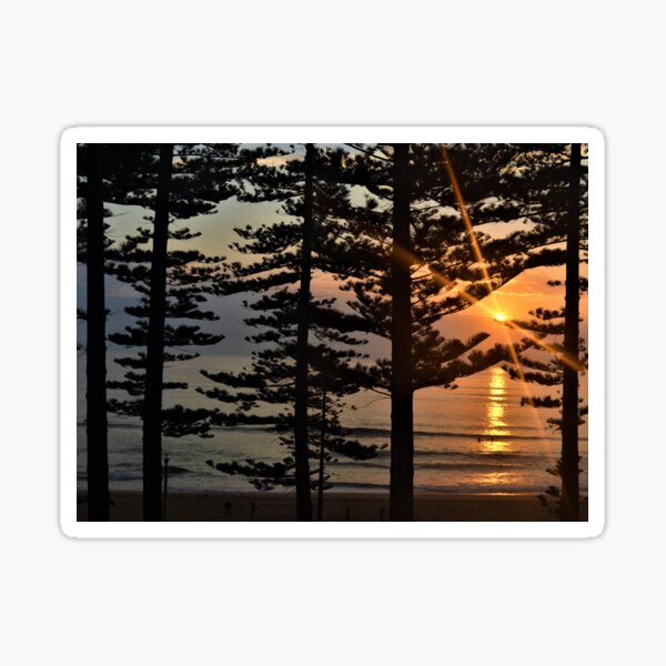 "Sunrise at Manly" Sticker by IFernandez | Redbubble