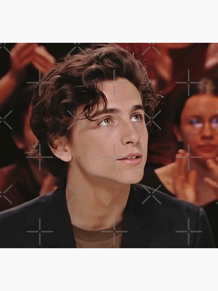 "Timothee chalamet " Poster for Sale by hala- | Redbubble