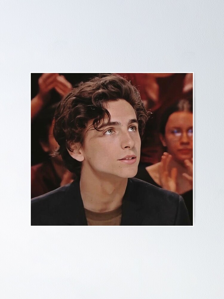 "Timothee chalamet " Poster for Sale by hala- | Redbubble