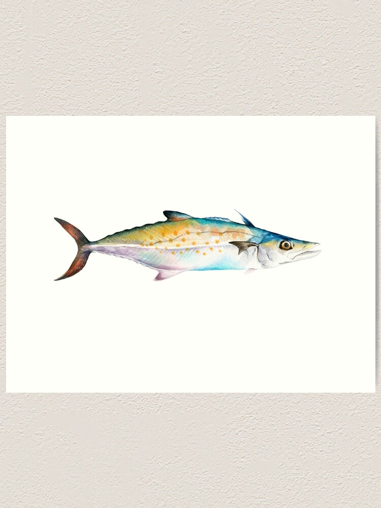 "Mackerel painting" Art Print by mirjamimanninen | Redbubble