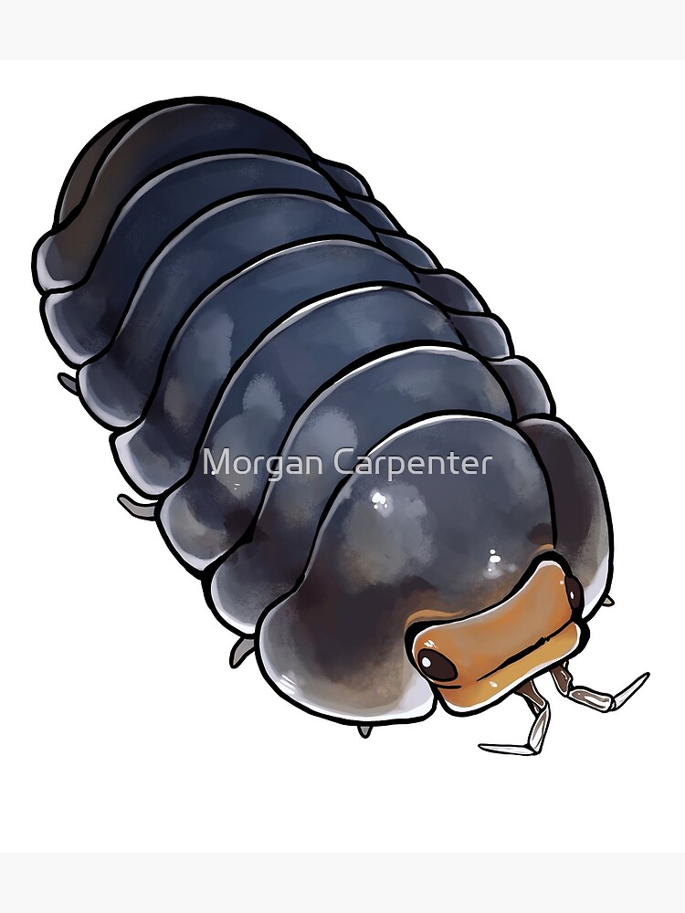 "Cubaris "Pak Chong" Isopod" Framed Art Print for Sale by slothbug ...