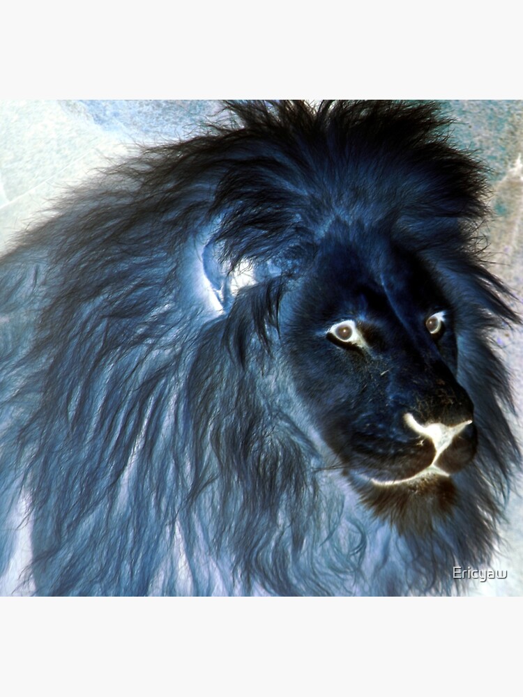 "Ghost Lion, yoga wear, Lion head" Poster for Sale by Ericyaw | Redbubble