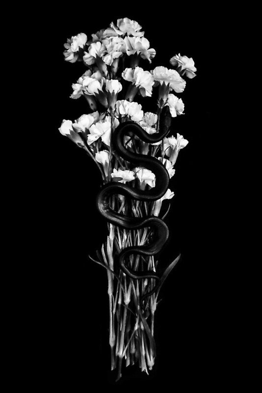"ADDERBLOOM" by HUNTERVAIN | Redbubble