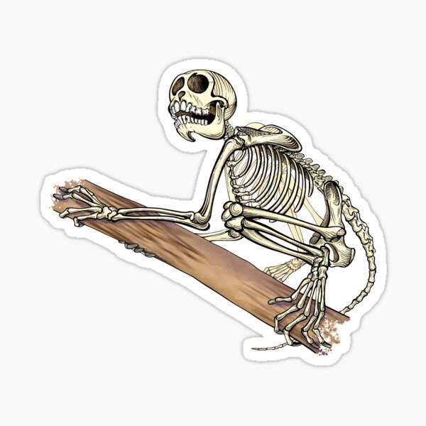 "Monkey Skeleton - Scientific Illustration Pen and Ink with Digital ...