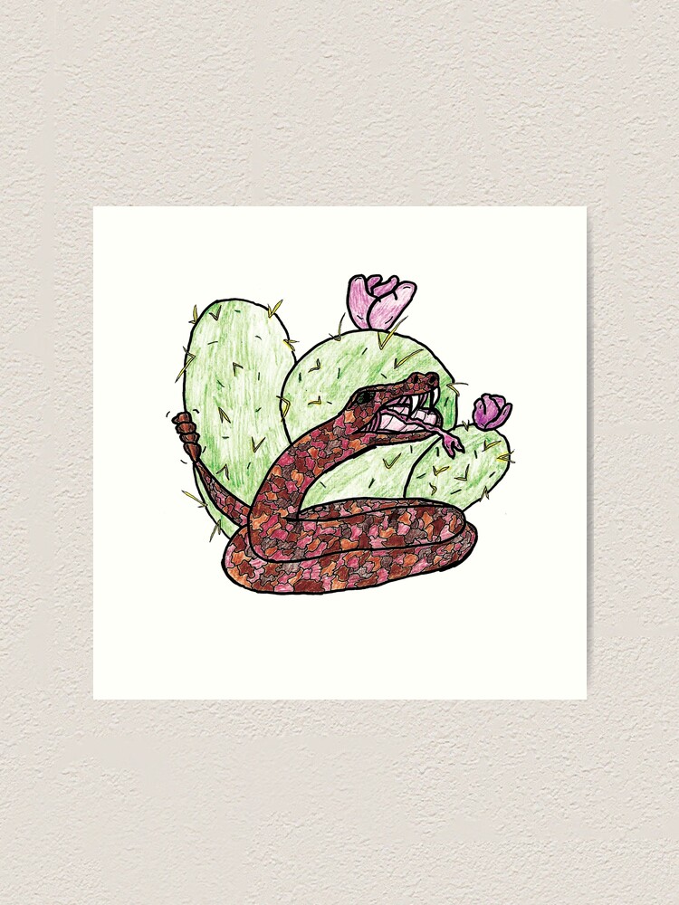 "Rattle Snake Cactus Color Pencil Art" Art Print by DaltonDesigns ...