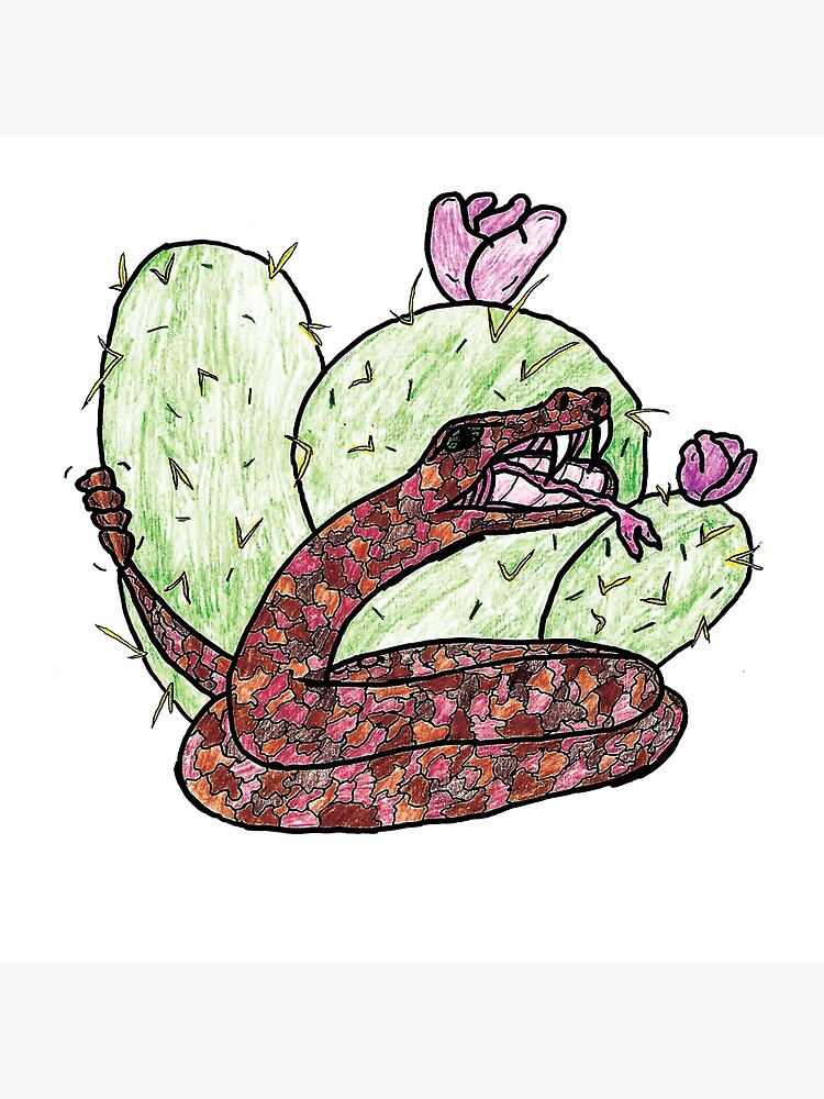 "Rattle Snake Cactus Color Pencil Art" Art Print by DaltonDesigns ...