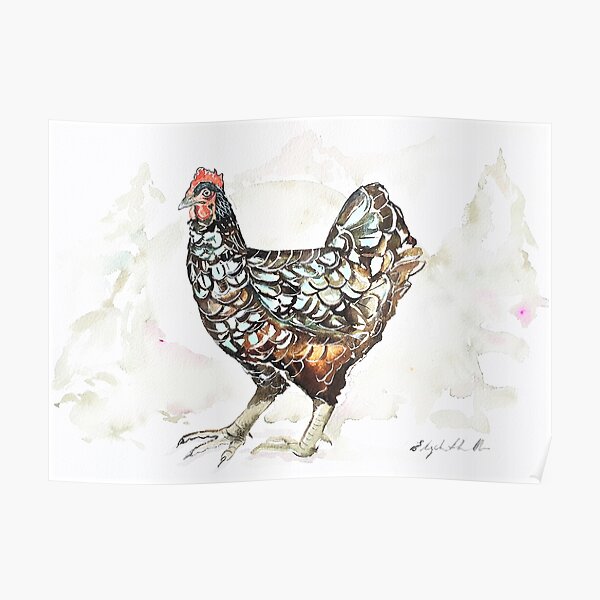 "Australian chicken farm animals" Poster for Sale by LizLovell | Redbubble