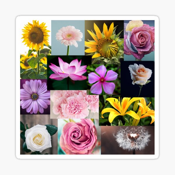 "Flower Collage" Sticker by Ka1830 | Redbubble