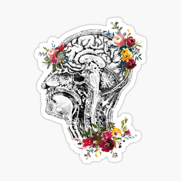 "Human head" Sticker for Sale by erzebetth | Redbubble
