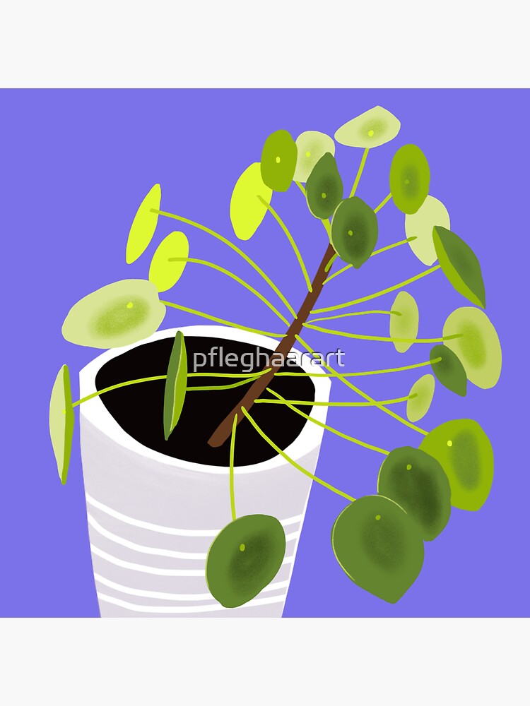 "Pilea on Purple" Sticker for Sale by pfleghaarart | Redbubble