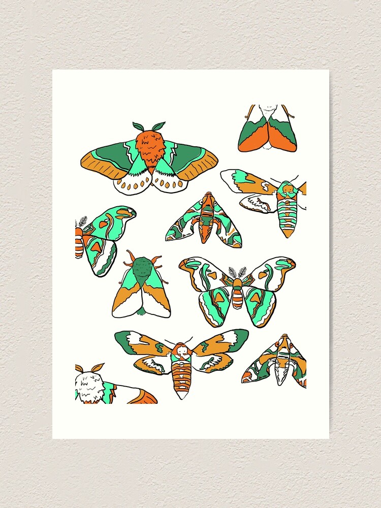 "Retro Moths Illustration" Art Print for Sale by jamie-sprouse | Redbubble