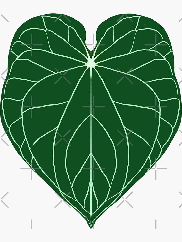 "Lala Plant Doodle Philodendron" Sticker by LalaDoodleBug | Redbubble