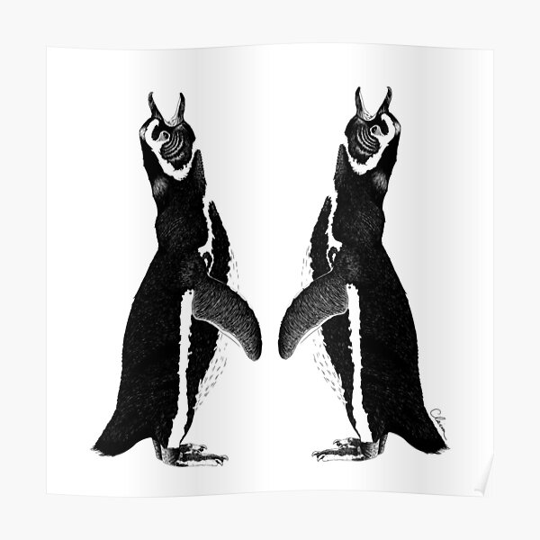 "Symmetrical penguins" Poster by ClaimDesign | Redbubble
