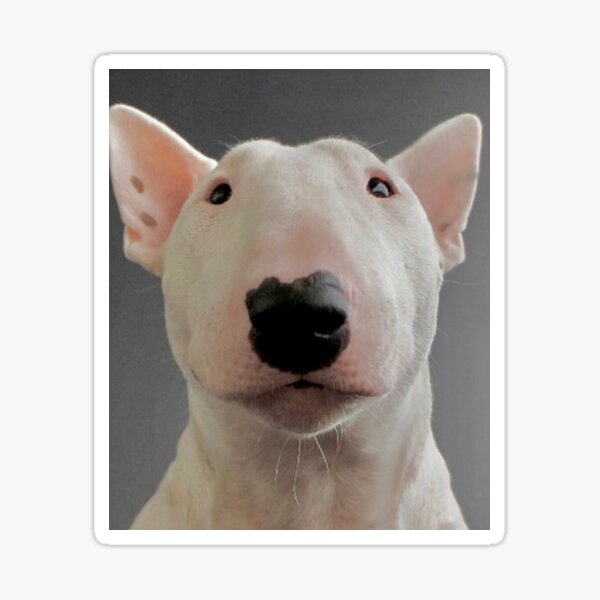 "Walter " Sticker for Sale by chicken0tendies | Redbubble