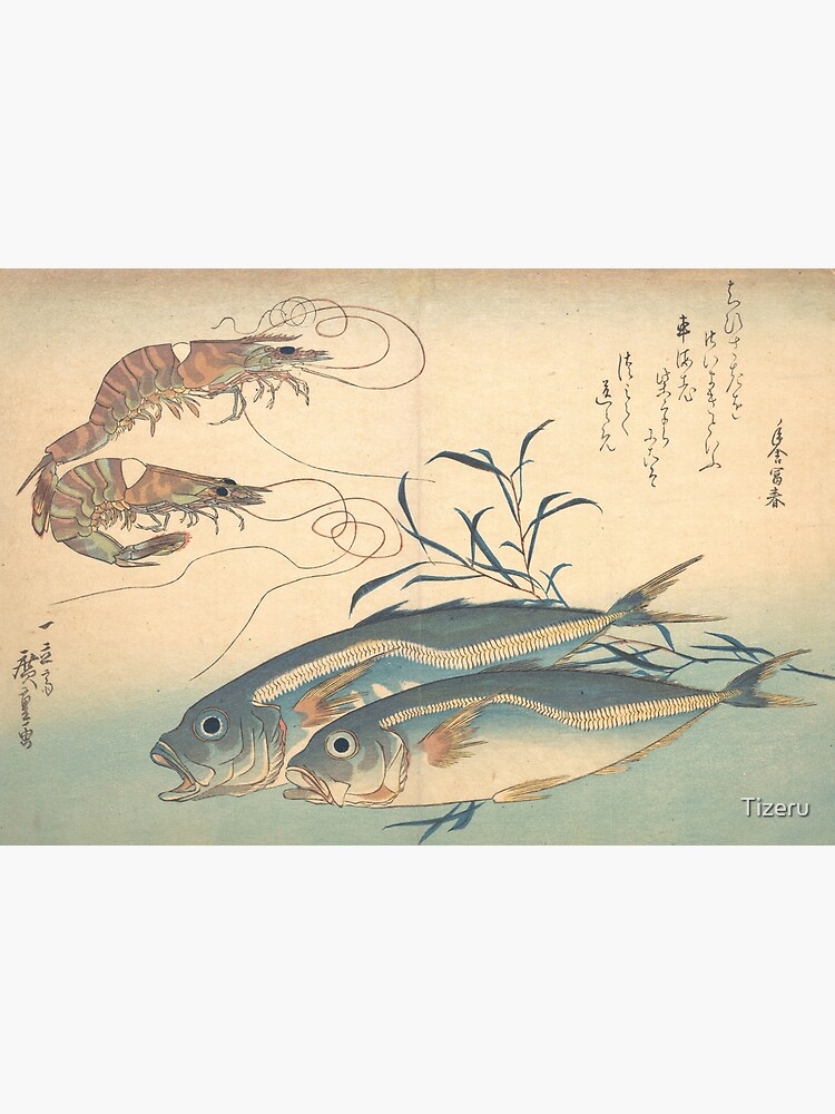 Impression photo « Aji Fish et Kuruma-ebi, de la série Uozukushi (Every ...