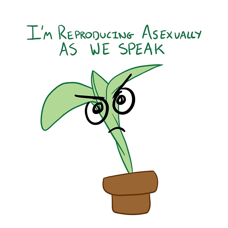 Asexual Reproduction Posters By Nobleshell Redbubble