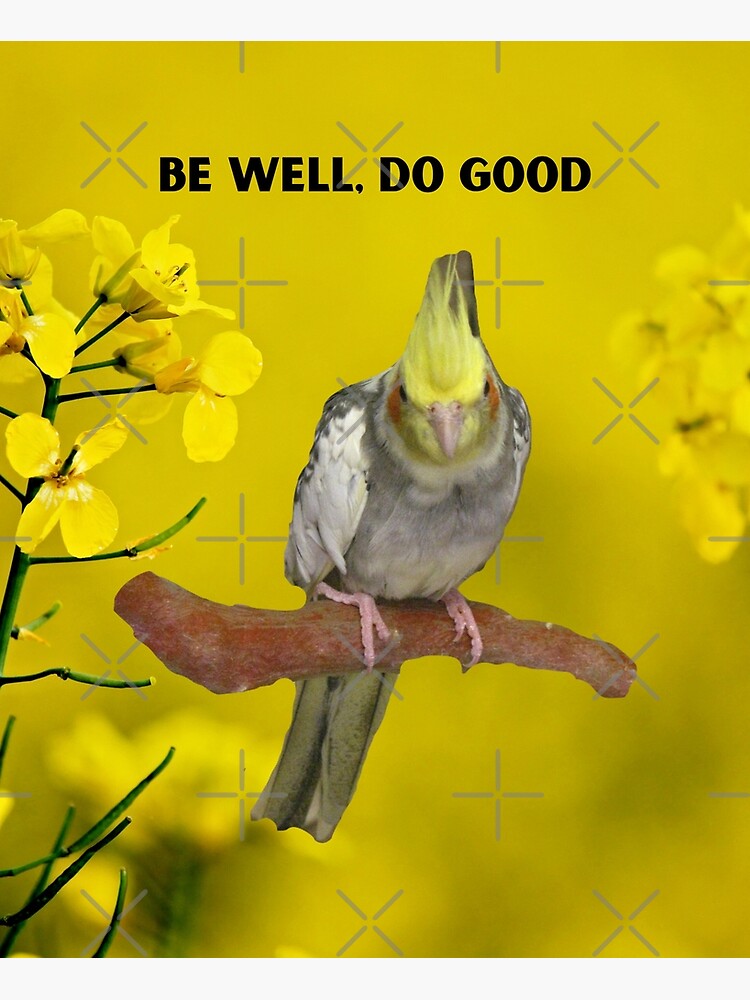 "Be Well Do Good-Bird-Inspirational Quotes" Poster for Sale by ...