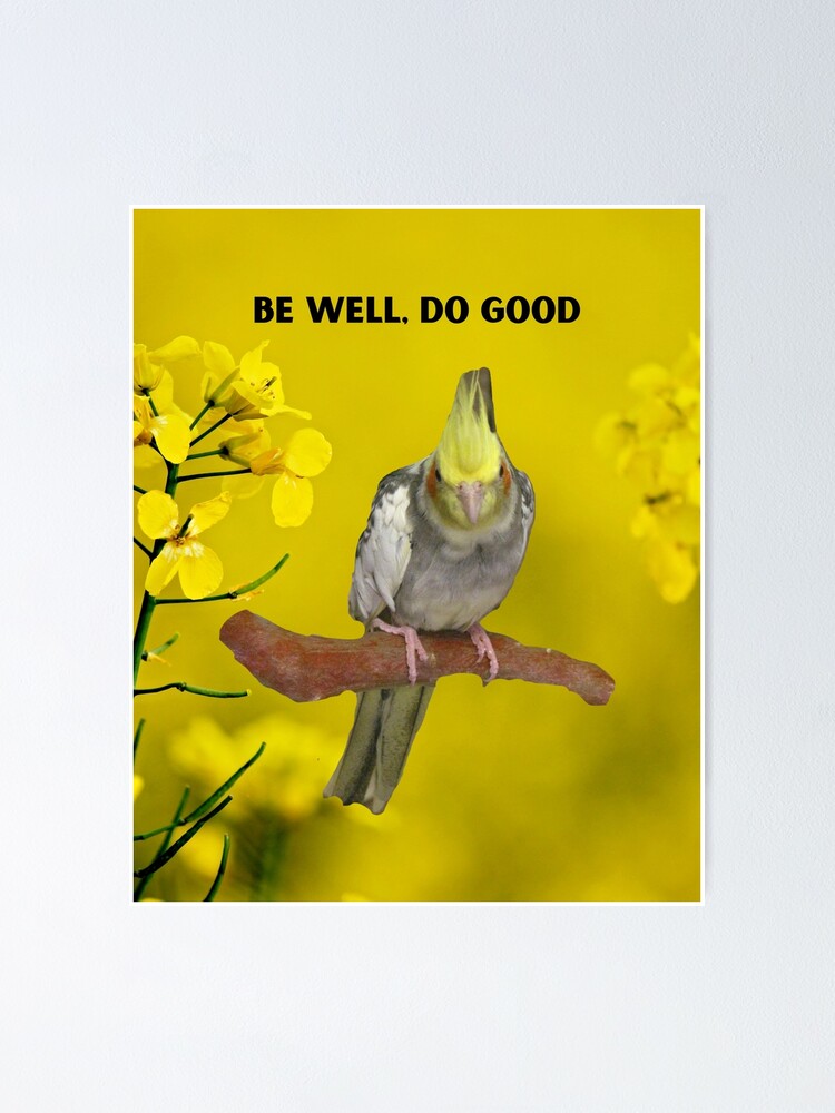 "Be Well Do Good-Bird-Inspirational Quotes" Poster for Sale by ...