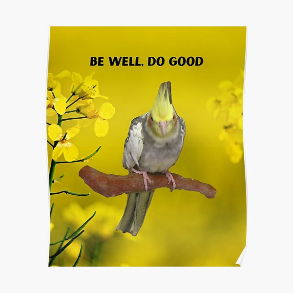 "Be Well Do Good-Bird-Inspirational Quotes" Poster for Sale by ...