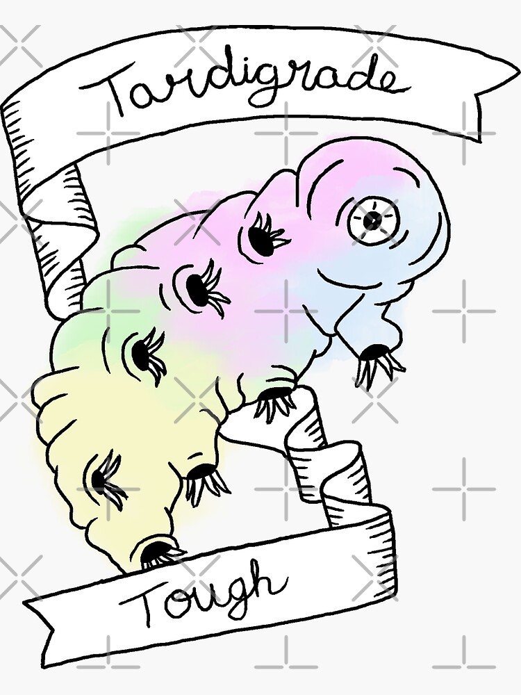"Tardigrade Tough" Sticker by Han44 | Redbubble