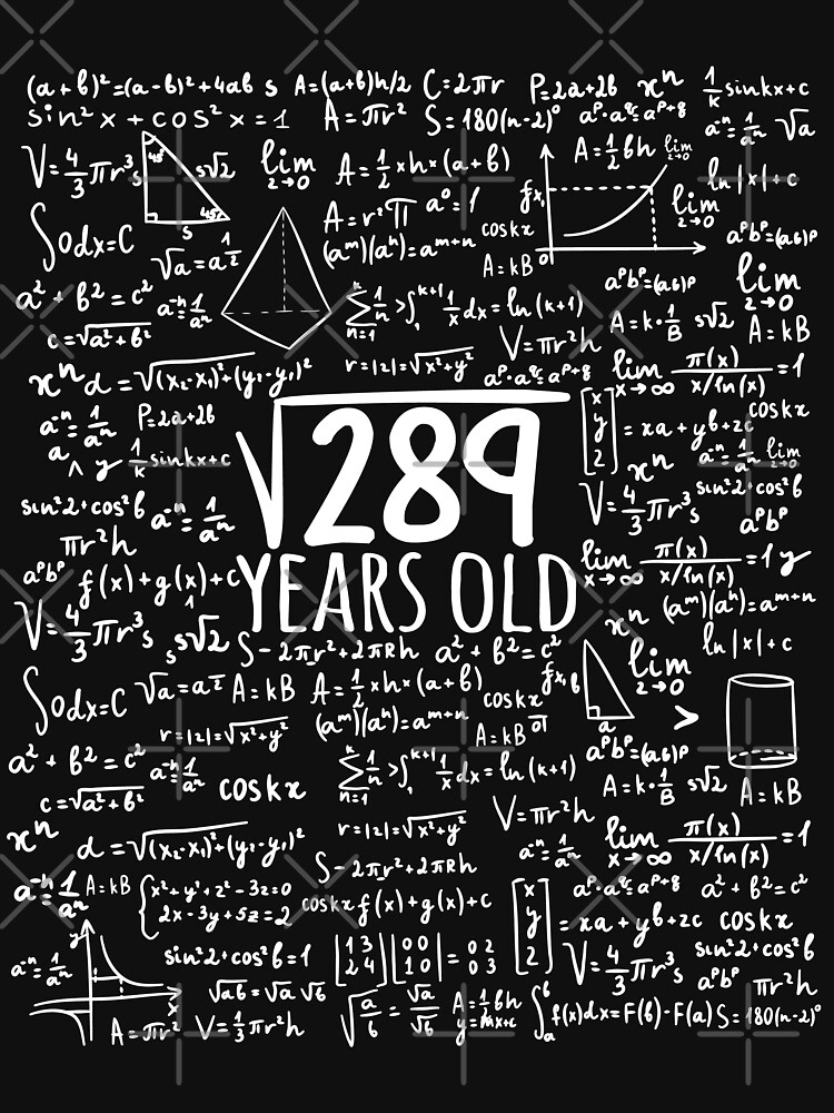 "Square Root Of 289 17th Birthday 17 Year Old Gifts Math Bday T-Shirt ...