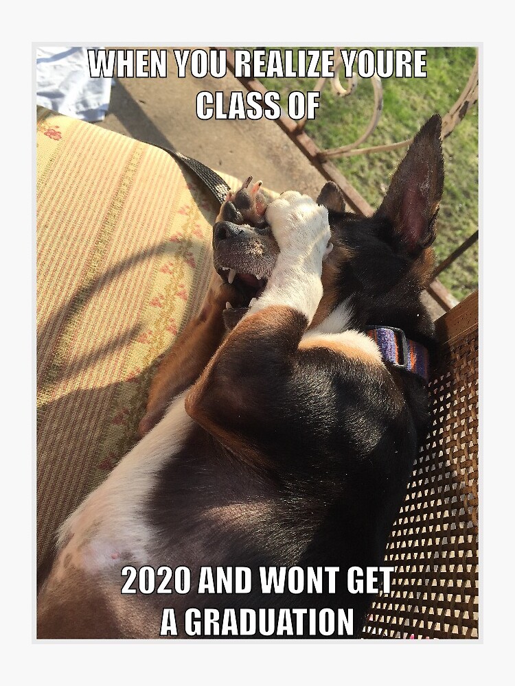 "Classs of 2020 meme" Sticker by dlozano2 | Redbubble
