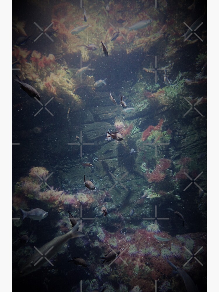 "burlesque fish" Sticker for Sale by FONESAY | Redbubble