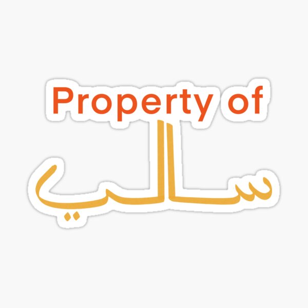 "Arabic Name : Sali / Sally" Sticker by sketchesbyhana | Redbubble