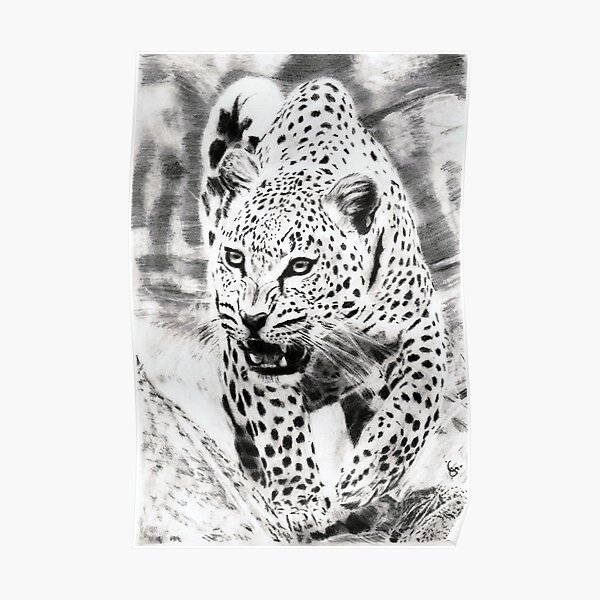 "gepard... pencil" Poster for Sale by danijelg | Redbubble
