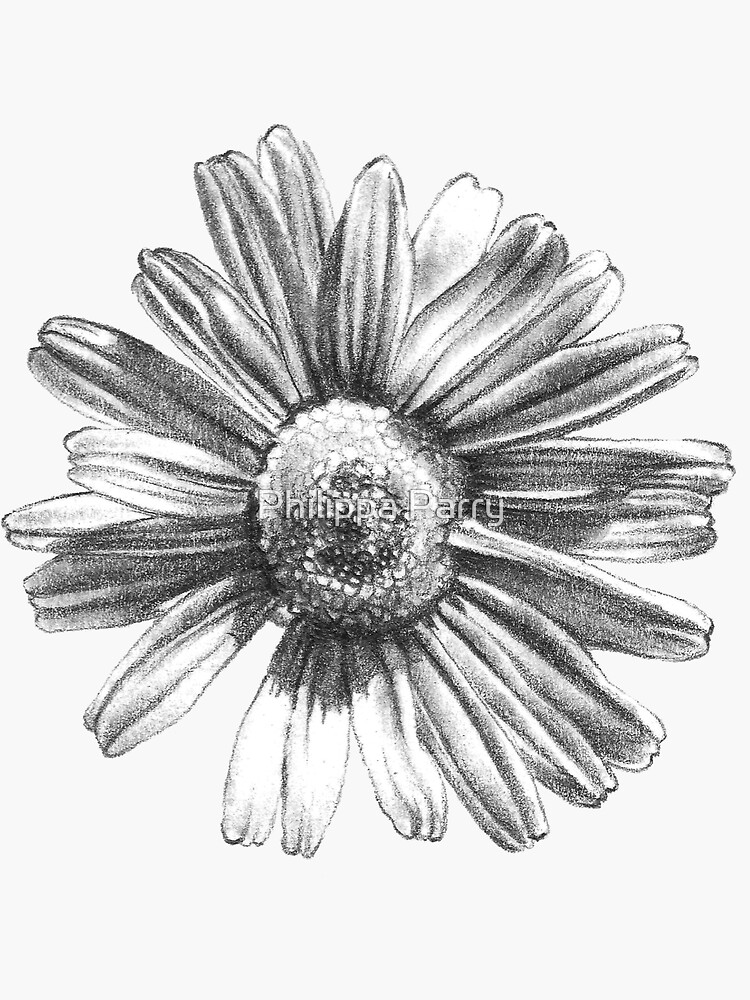 "Daisy" Sticker by Pip-Parry | Redbubble