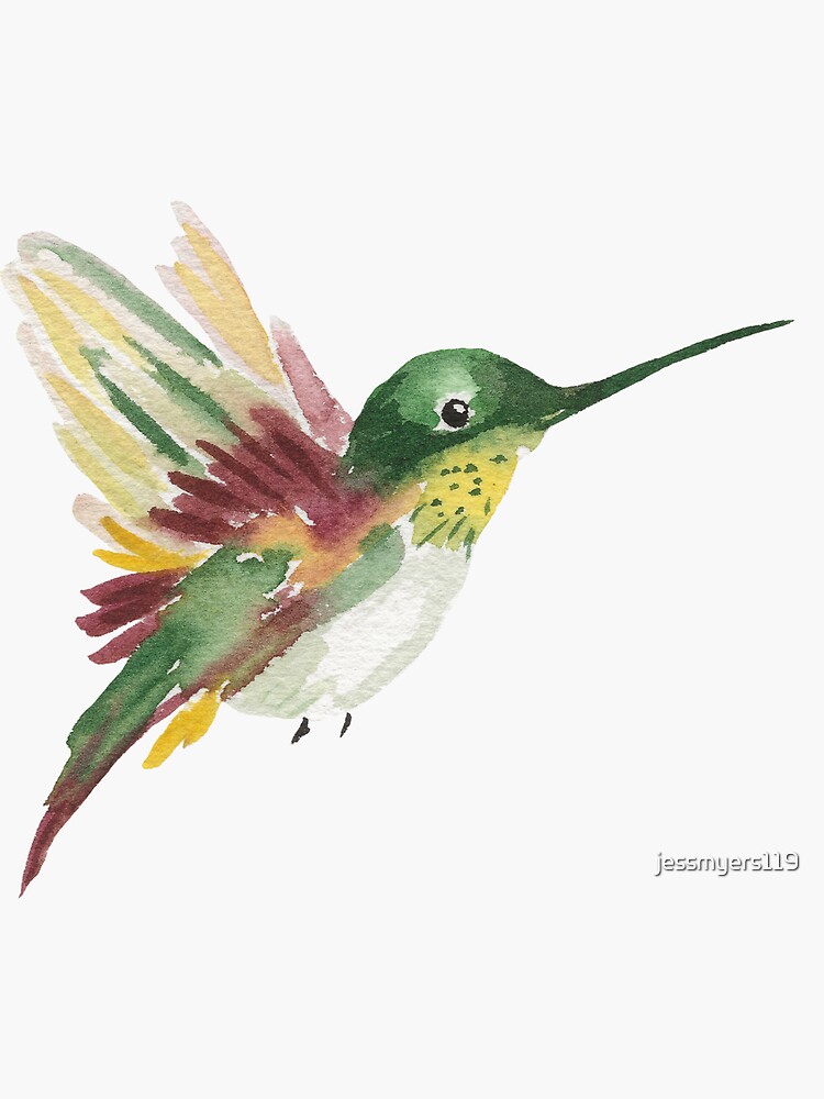 "Watercolor Hummingbird" Sticker for Sale by jessmyers119 | Redbubble