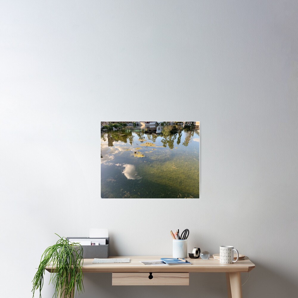 "Spring - pond reflection" Poster by agnessa38 | Redbubble