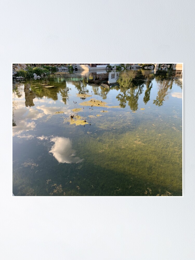 "Spring - pond reflection" Poster by agnessa38 | Redbubble