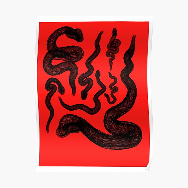 "Snake forms" Poster by Beee-jo | Redbubble